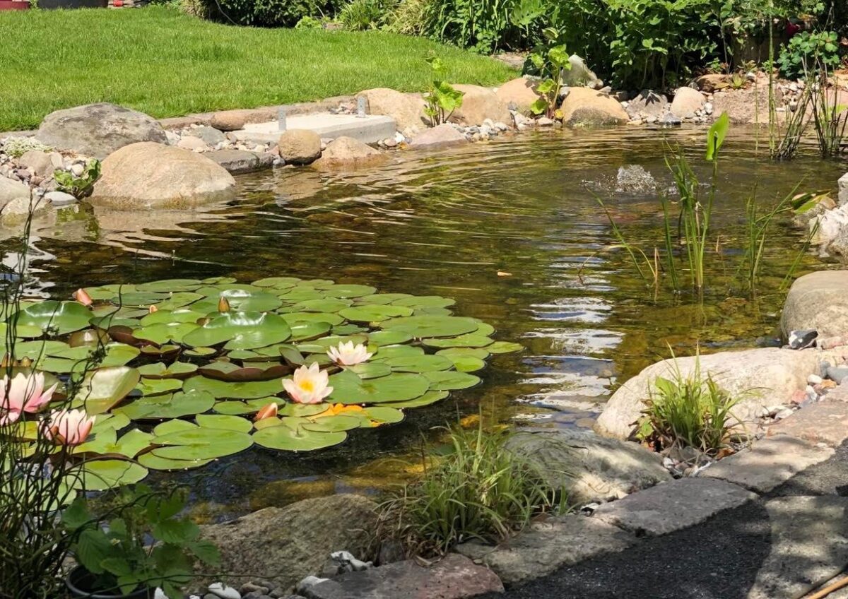 Inspiration til LAR – lokal afledning af regnvand – Foreningen Vilde ...